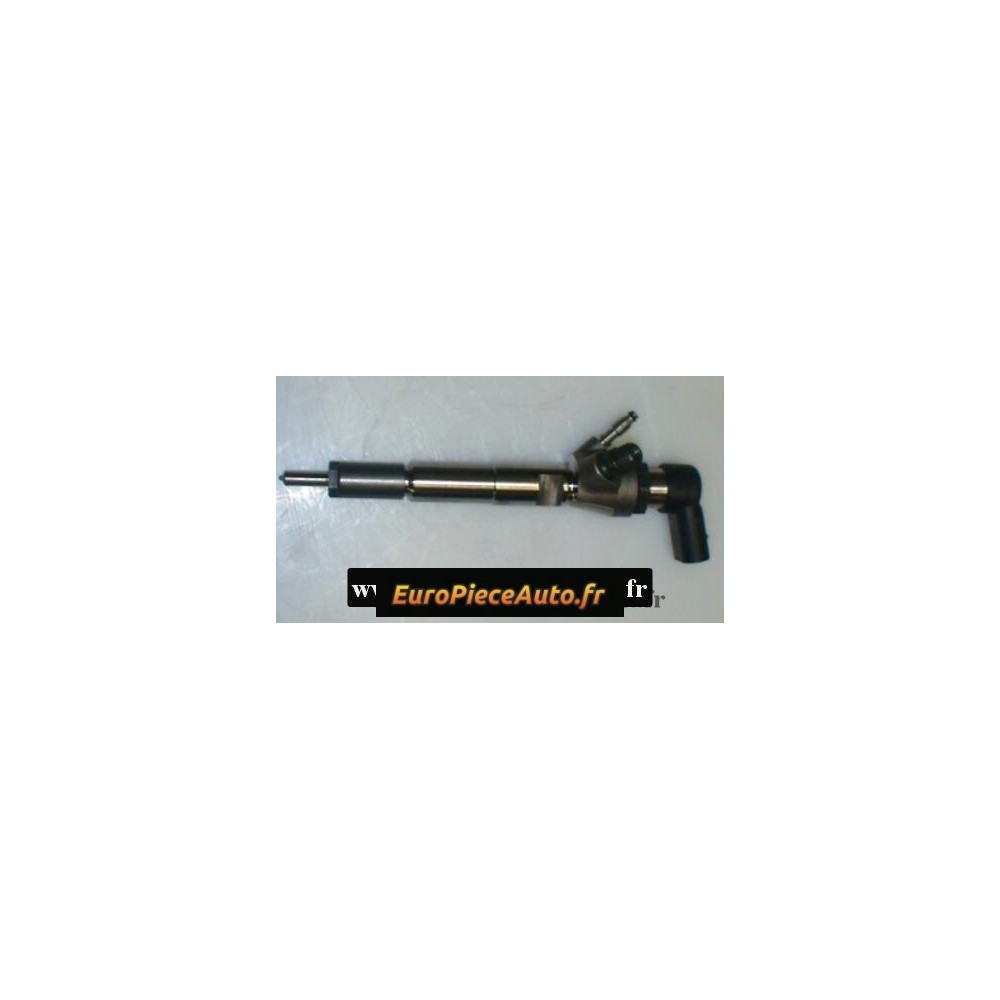 Injecteur Siemens A2C59507596 - H8201100113 - 8201100113 - 166006212R ...